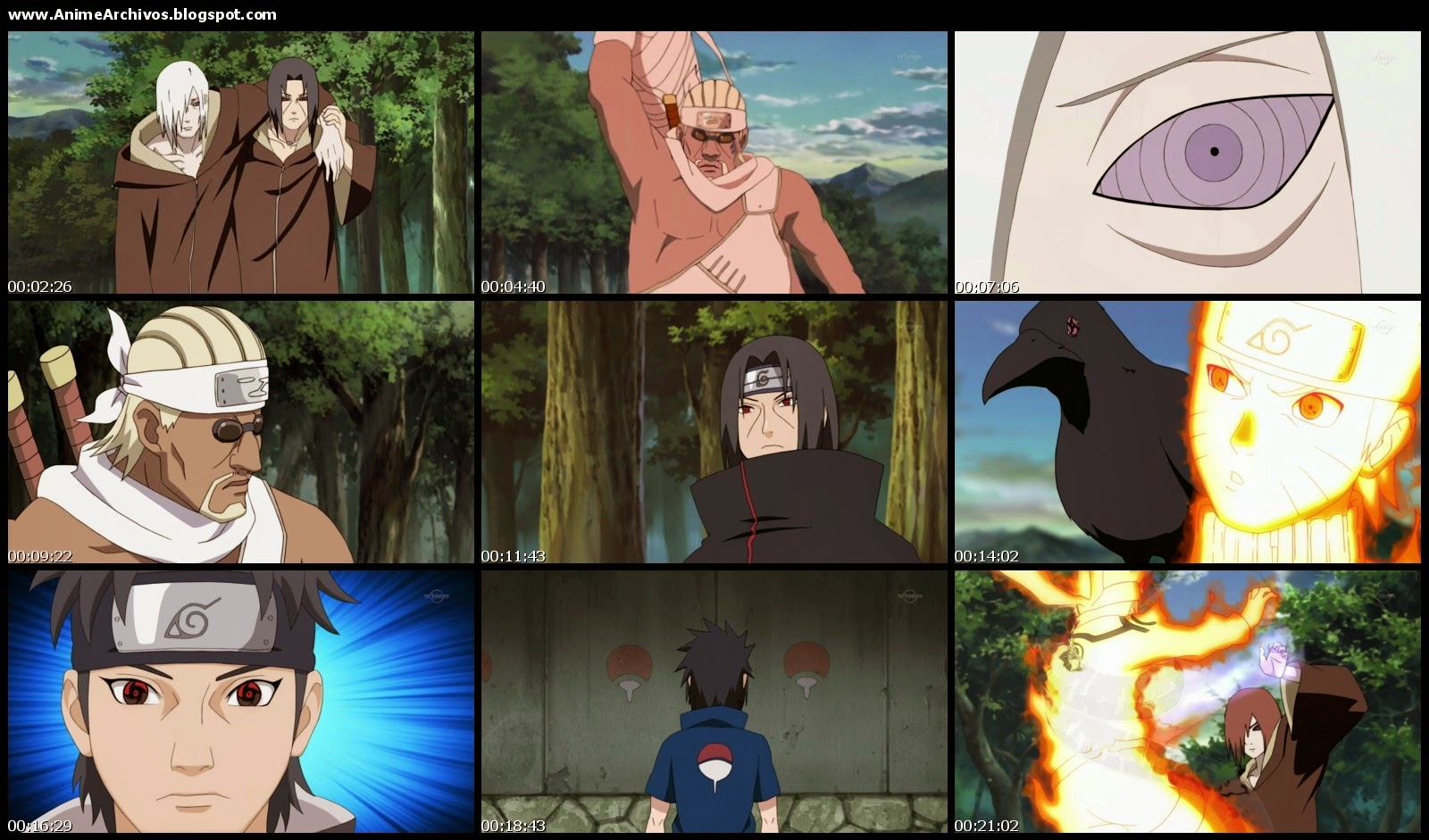 Naruto Shippuden 362/?? (MEGA) 1 Link (Actualizable)